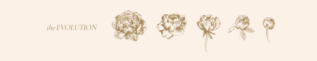 Behind the Bombshell: A Full Guide on America’s #1 Fragrance*