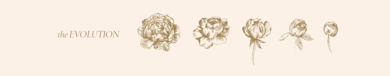 Behind the Bombshell: A Full Guide on America’s #1 Fragrance*