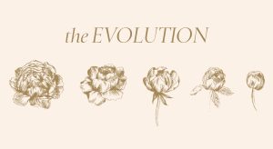 Behind the Bombshell: A Full Guide on America’s #1 Fragrance*